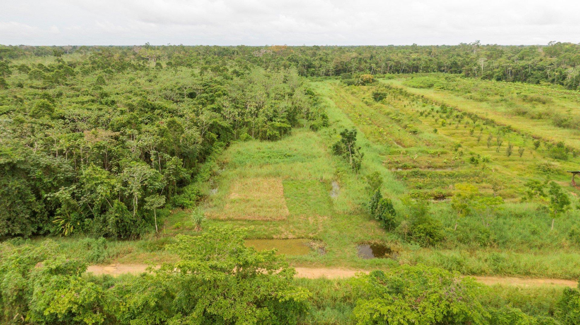 Lompongweg (Tamanredjo) #214 • Perceel te koop • Tamanredjo, Commewijne ...