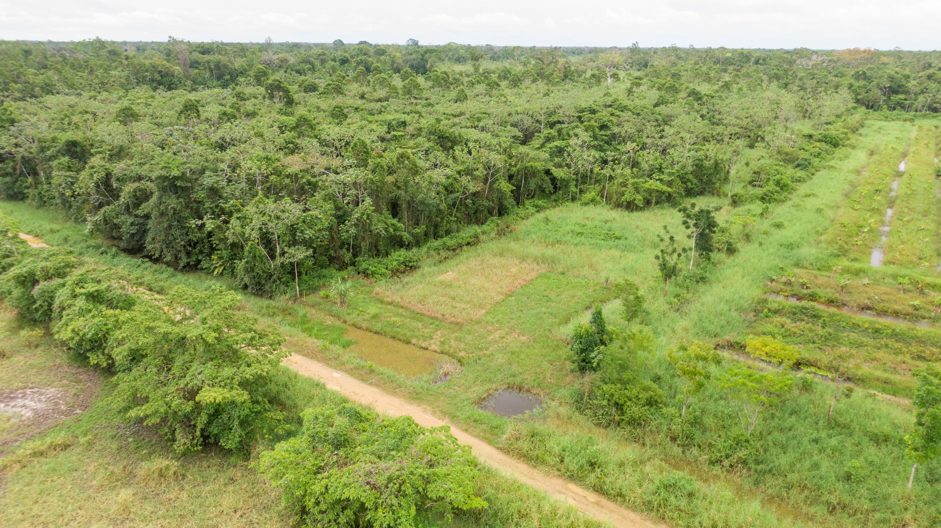 Lompongweg (Tamanredjo) #214 • Perceel te koop • Tamanredjo, Commewijne ...