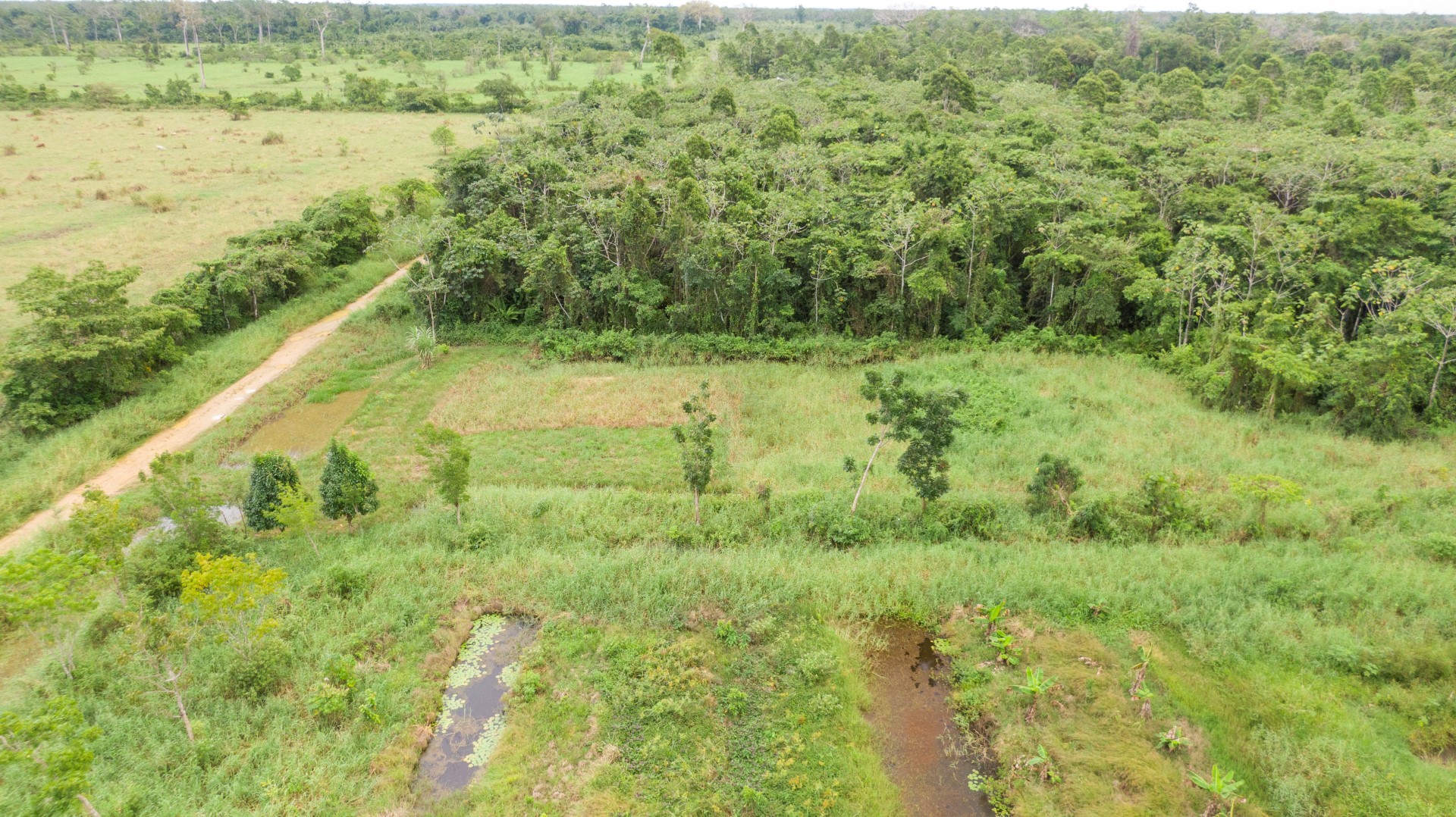 Lompongweg (Tamanredjo) #214 • Perceel te koop • Tamanredjo, Commewijne ...