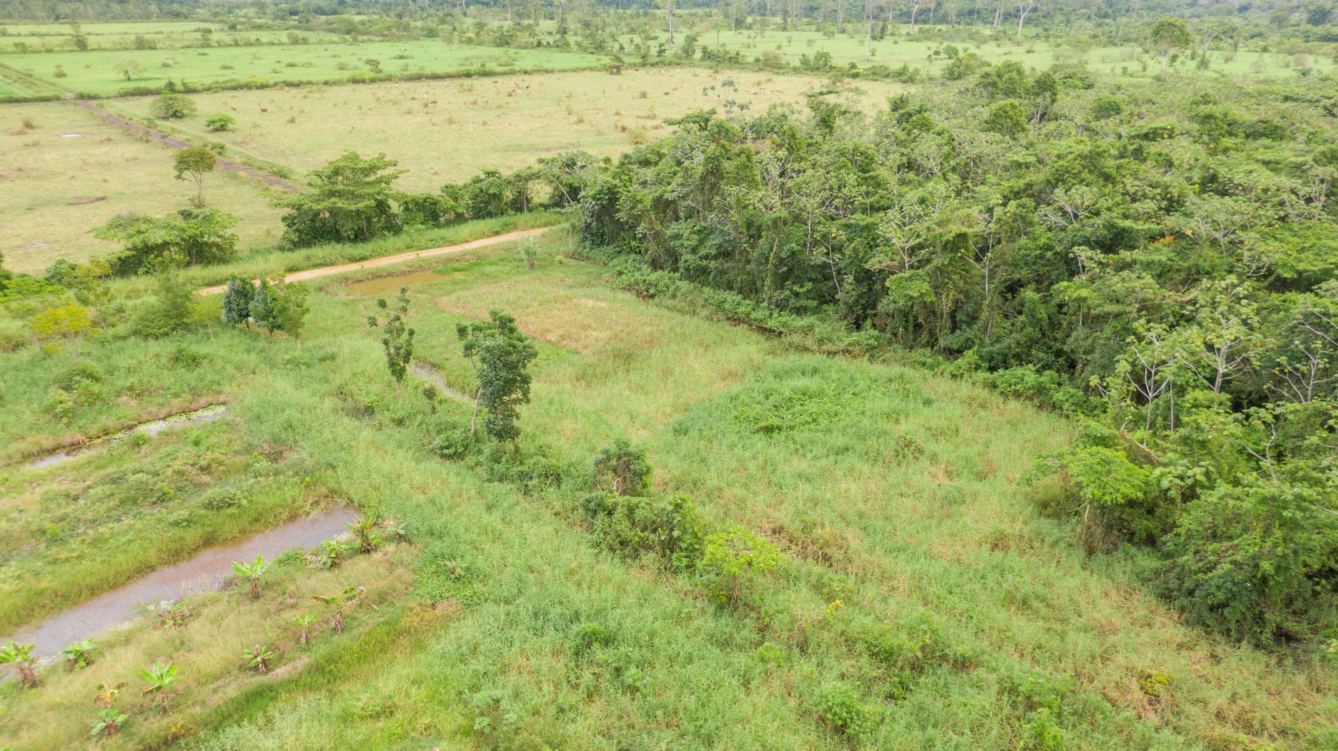 Lompongweg (Tamanredjo) #214 • Perceel te koop • Tamanredjo, Commewijne ...