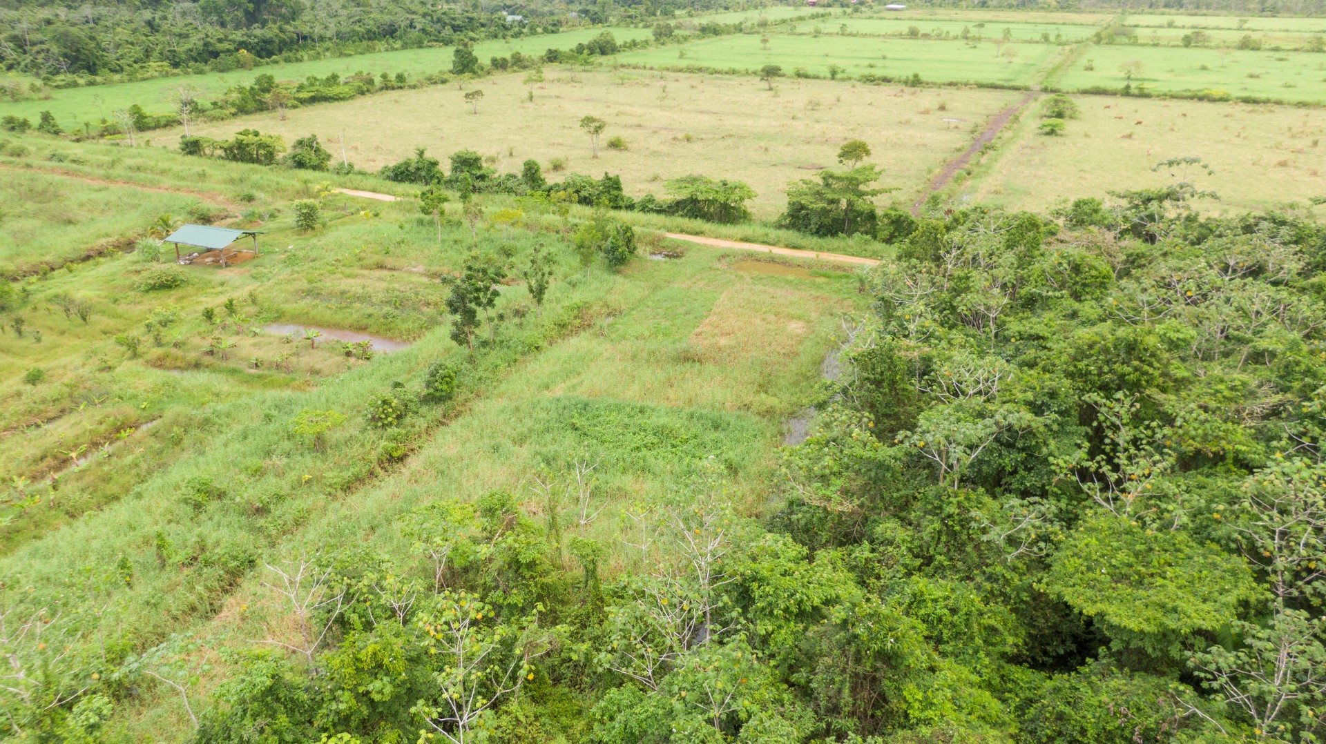 Lompongweg (Tamanredjo) #214 • Perceel te koop • Tamanredjo, Commewijne ...